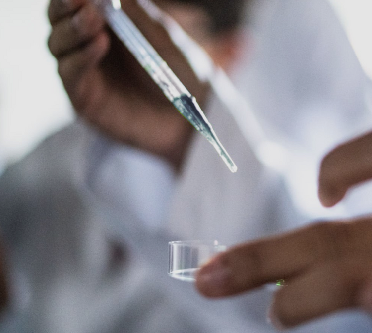 5 Powerful Benefits of Silica Plant-Based Supplements | LIVING SILICA®